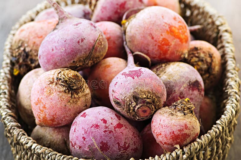 Red and golden beets stock image. Image of roots, organic - 13480681