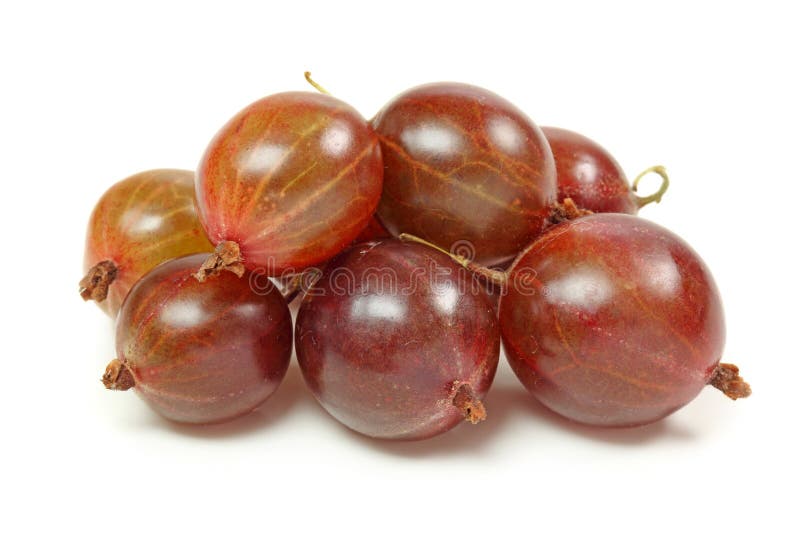 Red gooseberries stock photo. Image of eating, macro - 11531640