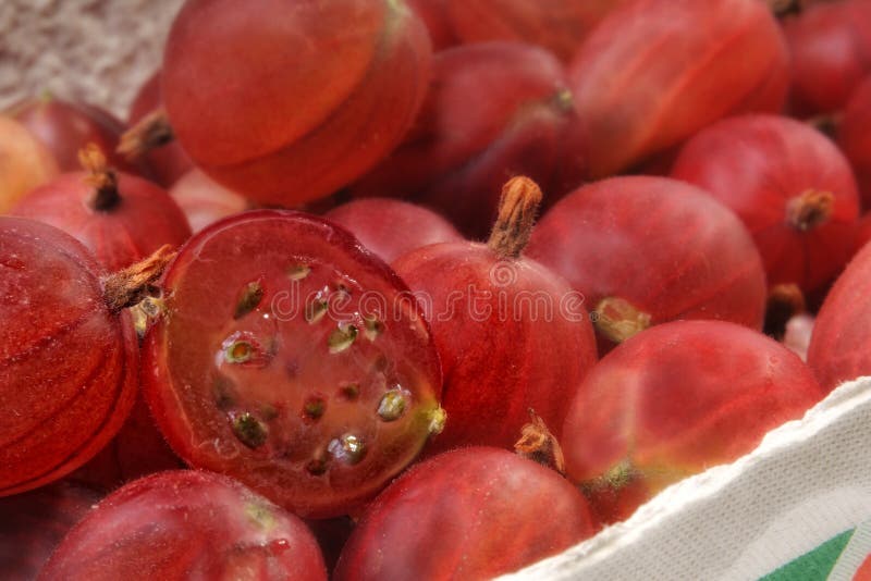 Red gooseberries stock image. Image of piled, crispa, ingredients - 9867853