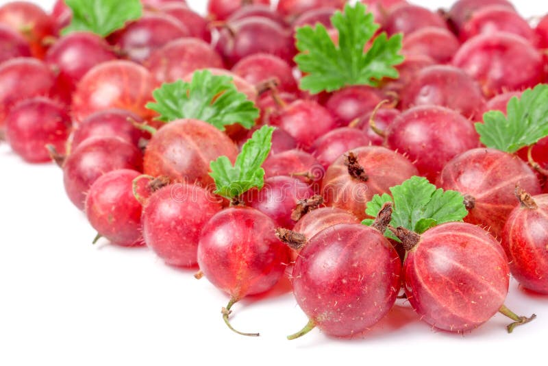 Red Gooseberries with Leaves on White Background Stock Image - Image of ...