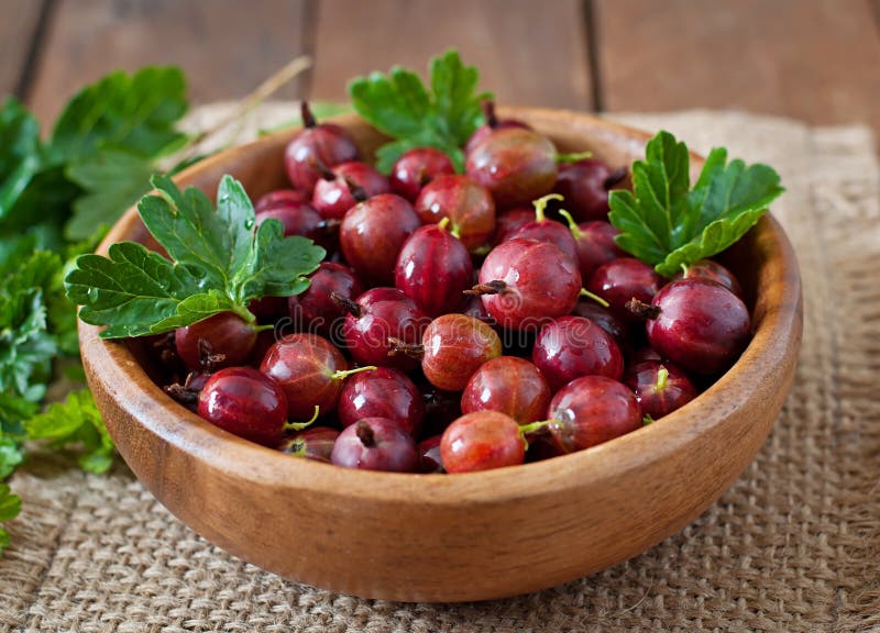 Red gooseberries stock image. Image of healthy, delicacy - 56611661