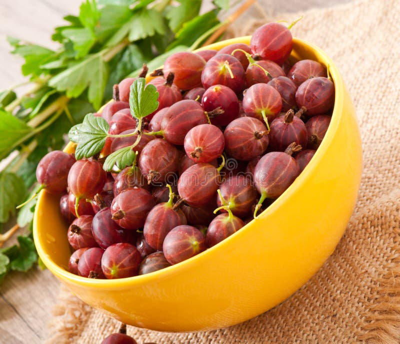 Red gooseberries stock image. Image of fresh, meal, healthy - 31823191