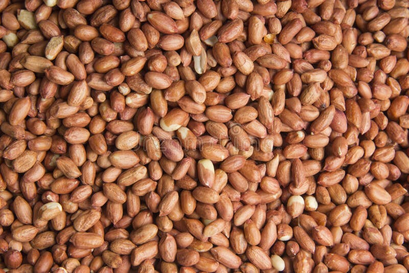 Red Grain Peanut on the Entire Background Stock Image - Image of ...