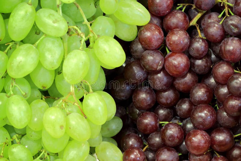 Red Grap and Green Grap Bunch for Background Stock Photo - Image of ...