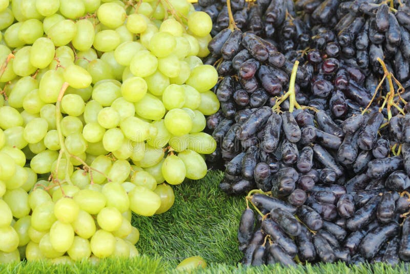 918 Grap Stock Photos - Free & Royalty-Free Stock Photos from Dreamstime