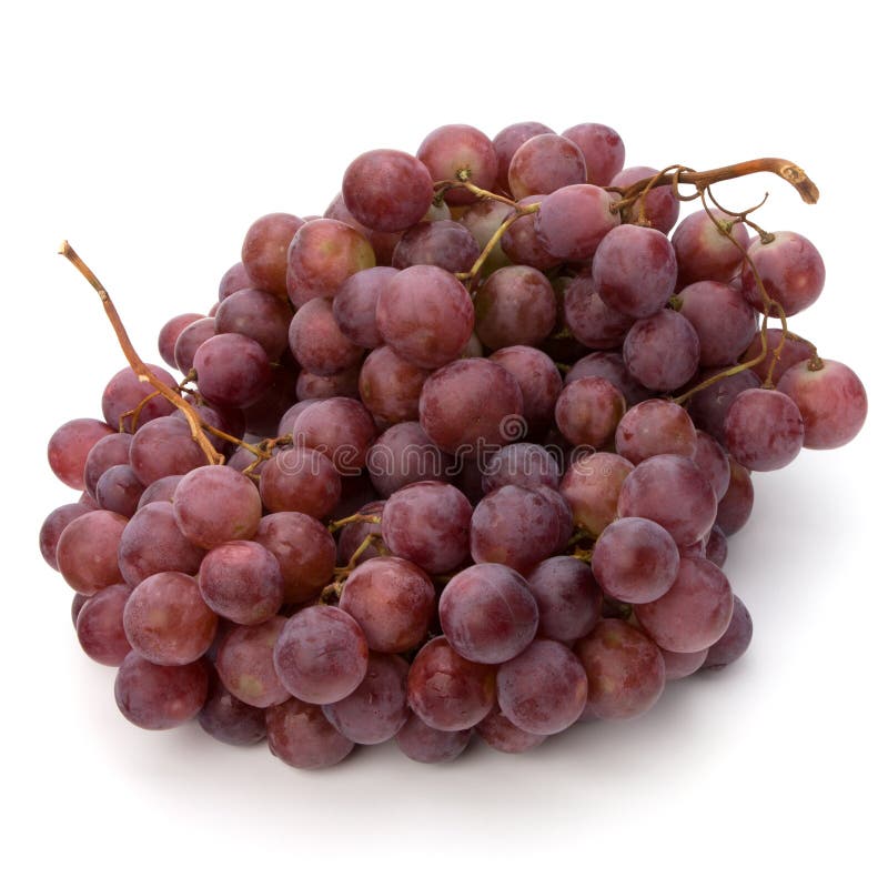 Red grape stock photo. Image of juicy, peel, nature, branch - 21400568