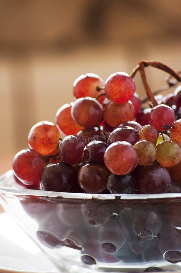 Red grape stock image. Image of still, healthy, food - 23945915