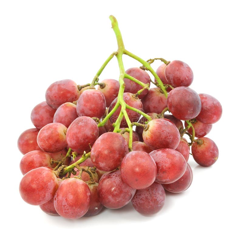 Red grape stock photo. Image of nutrition, juice, leaf - 24118994