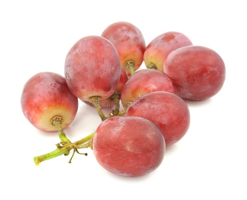 Red grape stock photo. Image of agriculture, ingredient - 24119004