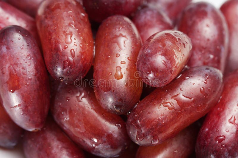 Red Grape stock photo. Image of vine, fruit, grapes, food - 26631472