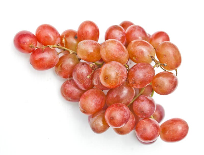 Red grape stock image. Image of leaf, grape, nutrition - 26683509