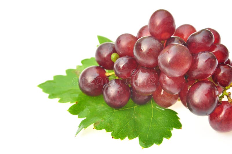 Red grape stock image. Image of juice, organic, fresh - 29611557