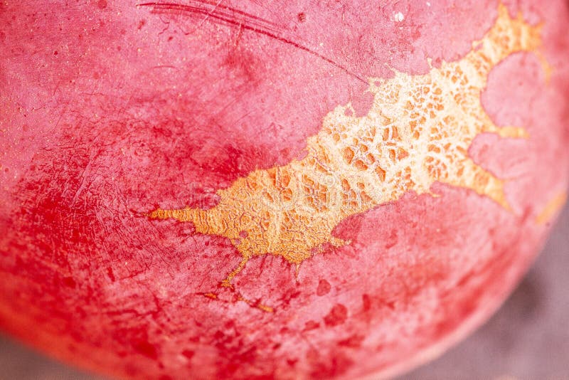 Rotten grape stock photo. Image of nature, decayed, conservation ...