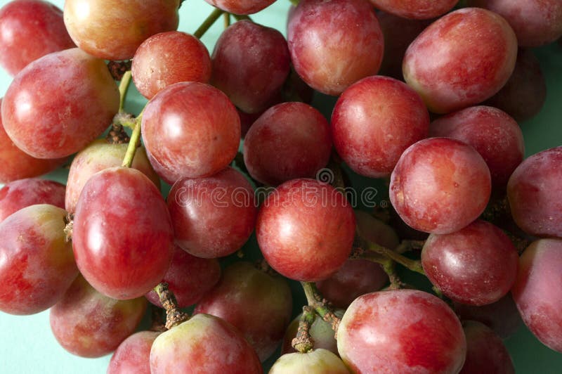 Red Grape Bunch Close Up, Fresh Fruit Photo Stock Photo - Image of ...
