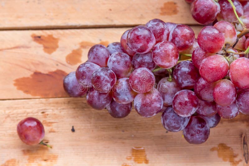 Red Grape. Bunch of grapes stock photo. Image of healthy - 76890258