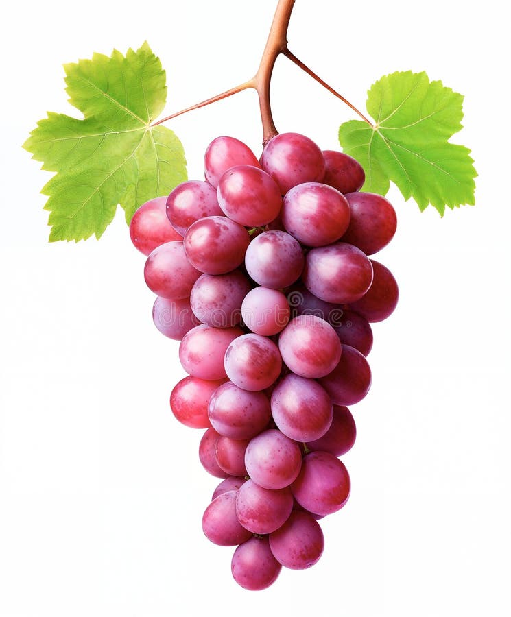 Red Grape Bunch with Leaves Isolated on White Background Stock Image ...