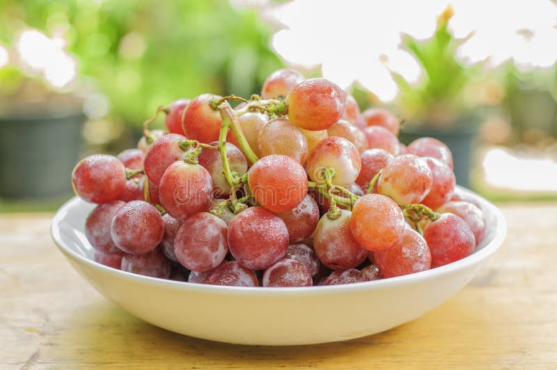 Red grape stock image. Image of berry, vivid, sweet, plate - 35674257