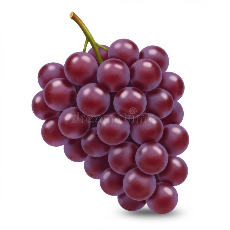 Red Grape Cluster Isolated on White Background Stock Illustration ...
