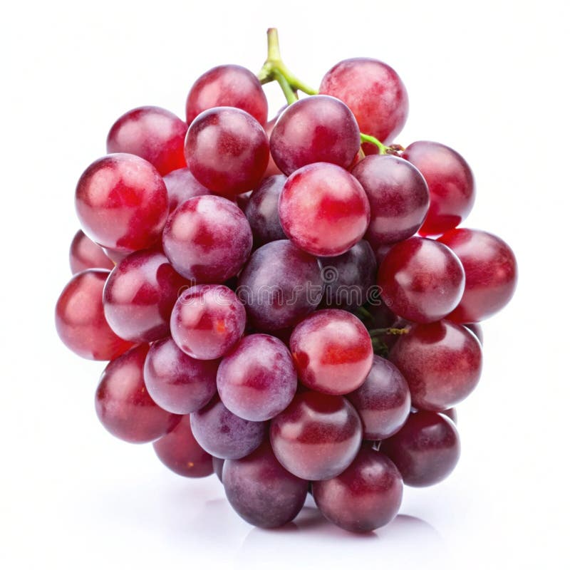 Red grape stock illustration. Illustration of healthy - 358268287