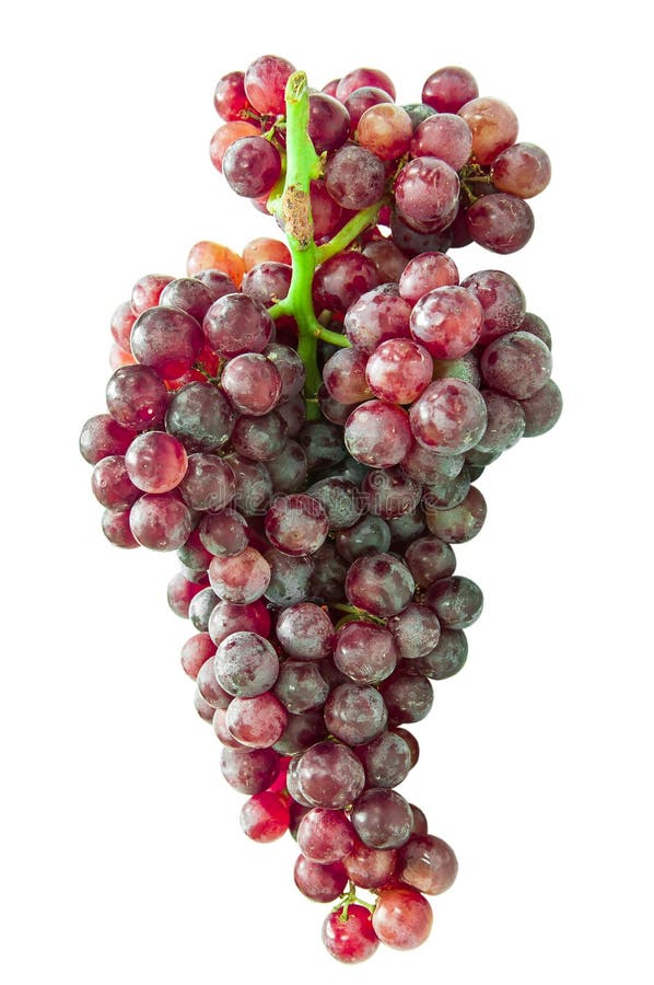 Red grape stock photo. Image of ripe, cluster, nutrition - 102536040