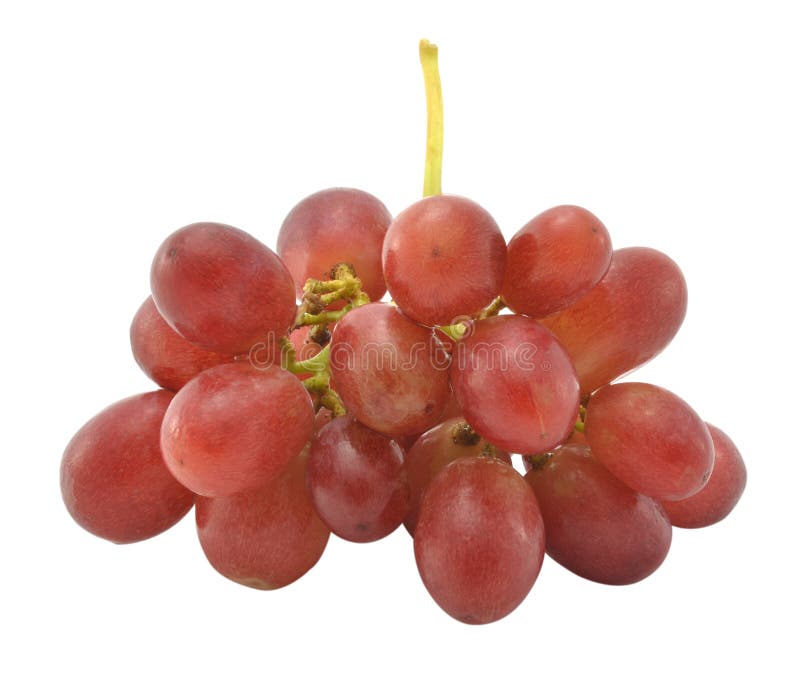 Red grape stock image. Image of green, harvest, closeup - 36213877