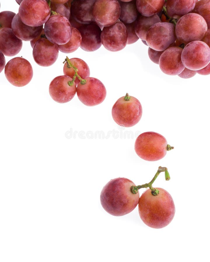 Red grape stock image. Image of group, cluster, grapevine - 59941467