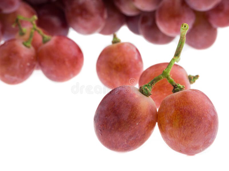 Red grape stock image. Image of grape, nature, green - 59943099