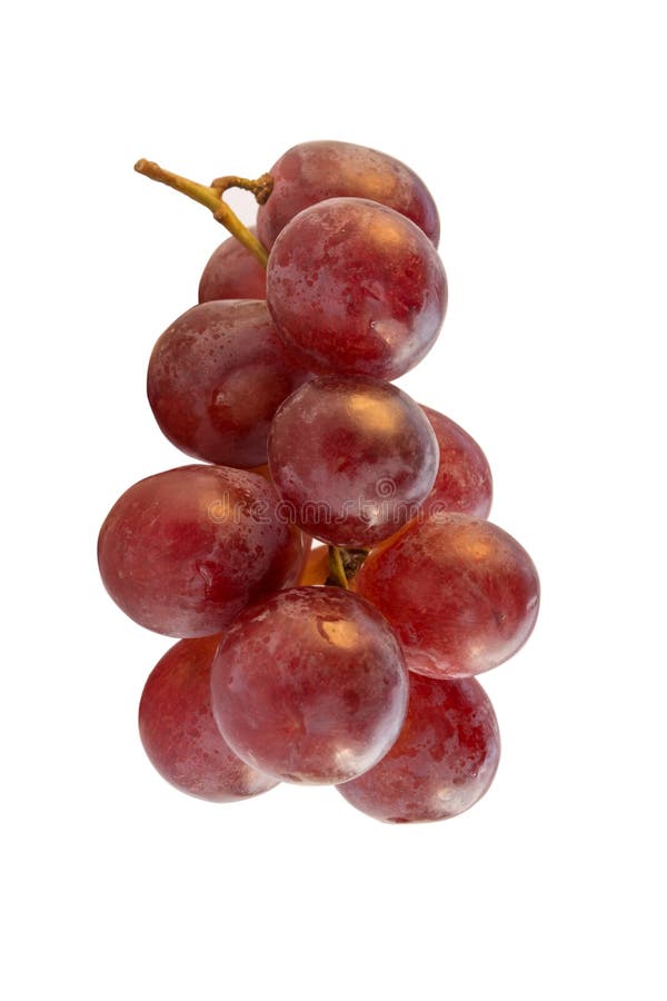 Red grape isolated stock photo. Image of natural, branch - 33179798