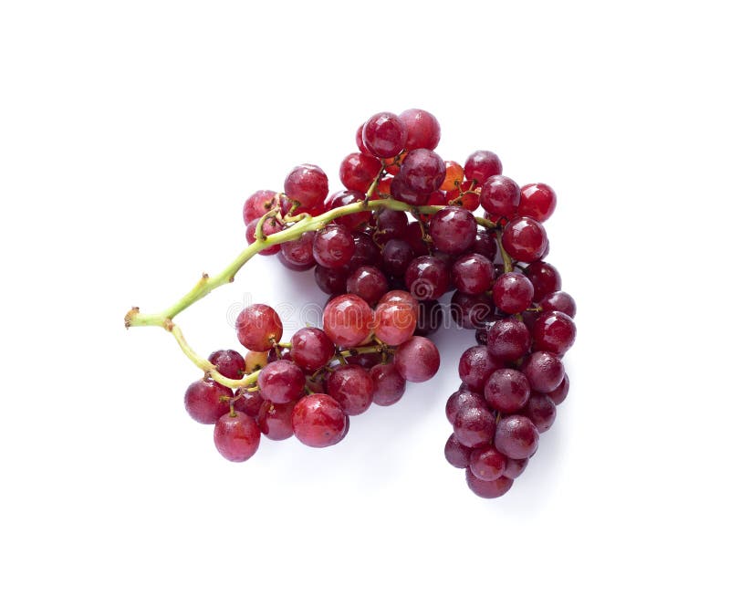 Red Grape Isolated on the White Background Stock Image - Image of grow ...