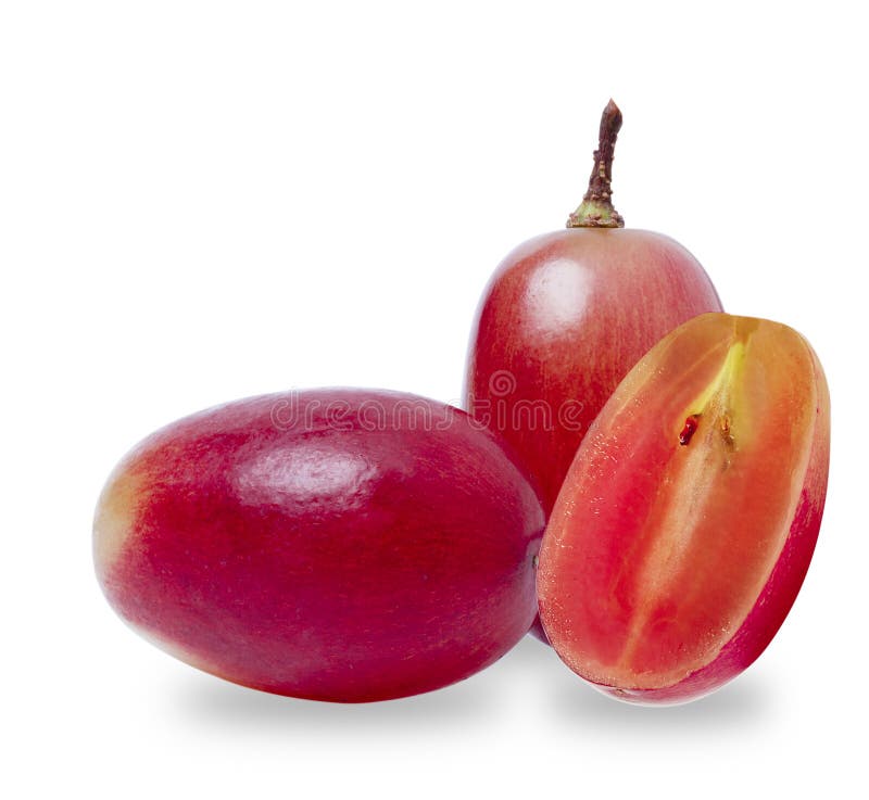 Sea grapes stock photo. Image of appetizer, nature, love - 124086344