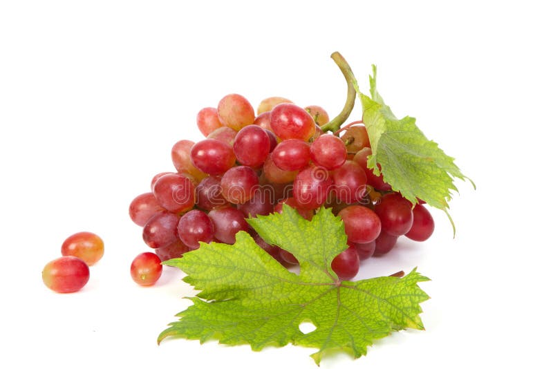 Red grape with leaf stock photo. Image of healthy, agriculture - 46142198