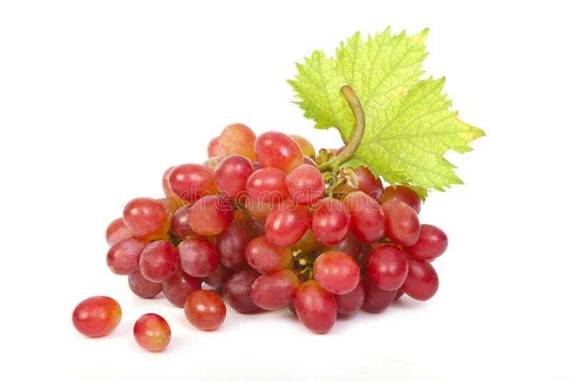 Red grape with leaf stock photo. Image of dieting, green - 46142208