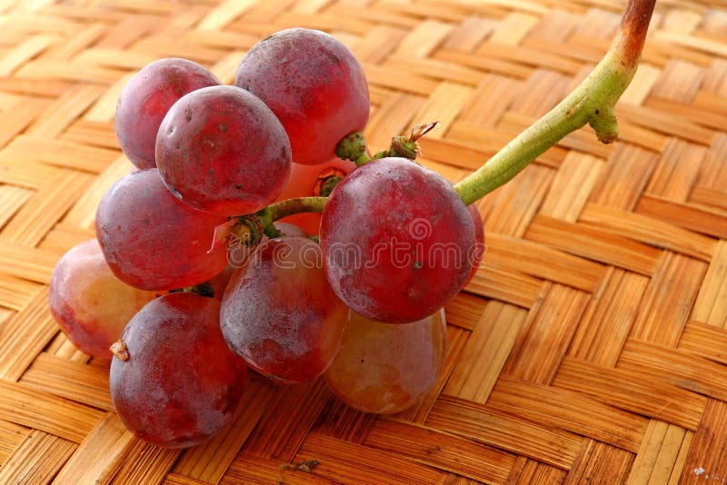 Red grape stock image. Image of tree, plant, redgrape - 59018991
