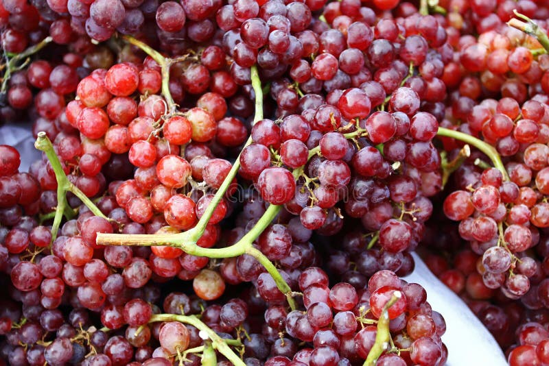 Red grape in market stock photo. Image of cluster, colour - 77809404