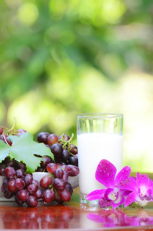 Red grape and milk stock photo. Image of farm, agriculture - 34688046