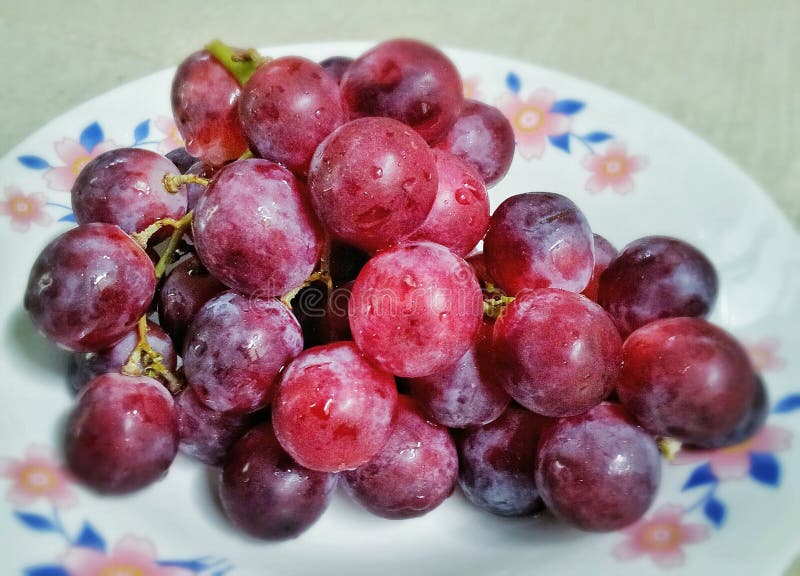 Red grape stock photo. Image of dark, blue, branch, agriculture - 46003812