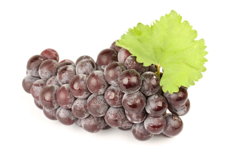 Red grape Purple stock photo. Image of healthy, autumn - 58836616