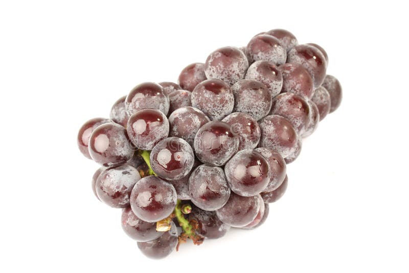 Red grape Purple stock photo. Image of purple, plant - 58836686