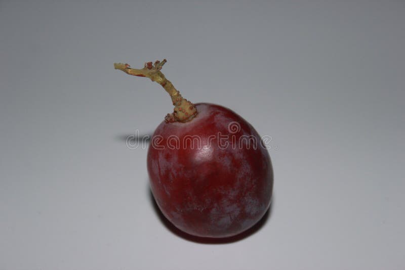 A Red Grape with a Stem Ready To Eat Stock Image - Image of stem ...