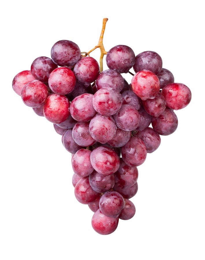 Grapes stock image. Image of wine, fruit, angoor, bunch - 3151225