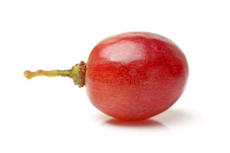 Single grape stock photo. Image of organic, close, grape - 3403228