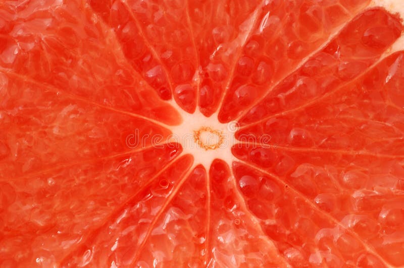 Red Grapefruit stock image. Image of fruit, bright, juice - 1863487