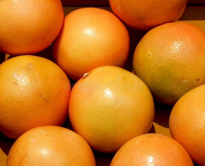 Grapefruits stock image. Image of segment, close, food - 239939
