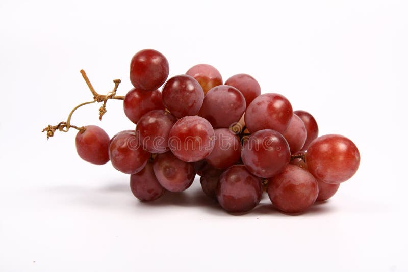 Grapes stock image. Image of wine, fruit, angoor, bunch - 3151225