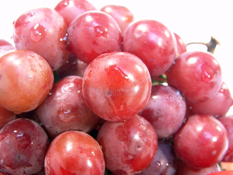 Sliced orange stock image. Image of orange, macro, delicious - 2282991