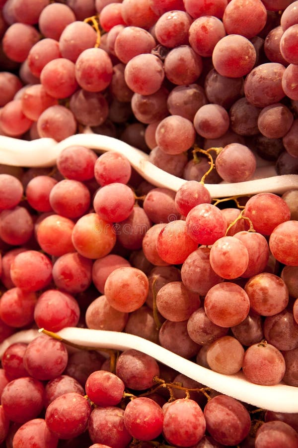 Red grapes stock image. Image of healthy, fresh, grapes - 22135031