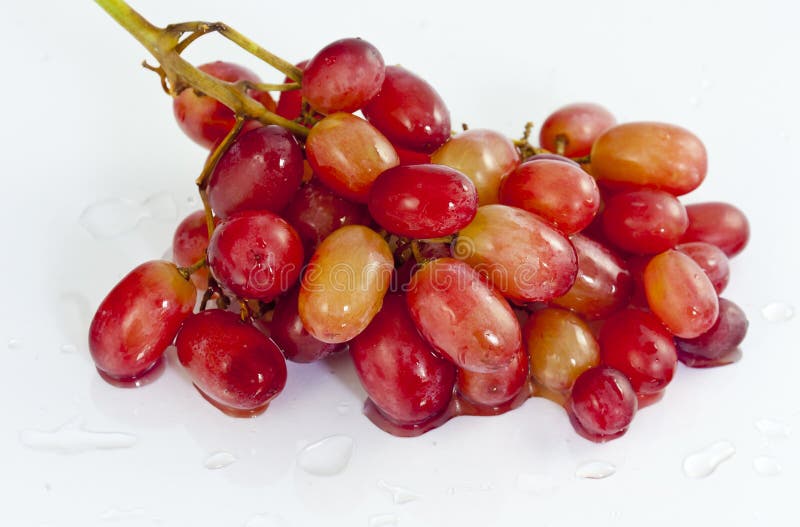 Red grapes stock photo. Image of fruit, fresh, nature - 24629894