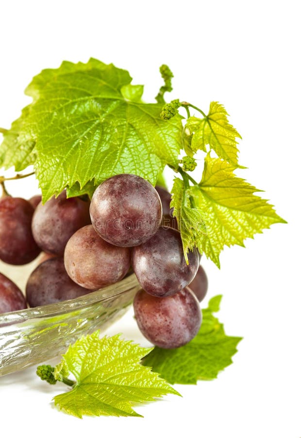Red grapes stock photo. Image of round, meal, nature - 28216452