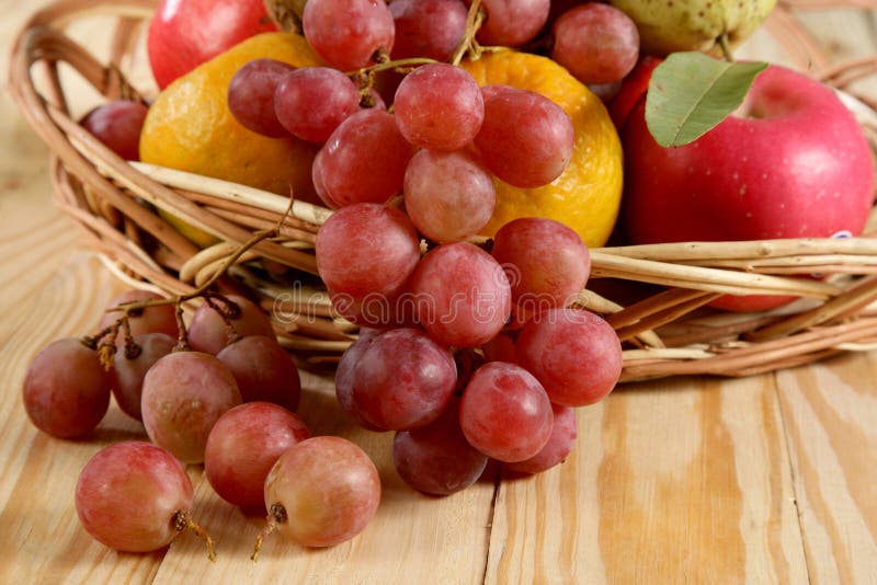 Grapes fresh from the farm stock photo. Image of grapes - 238662288
