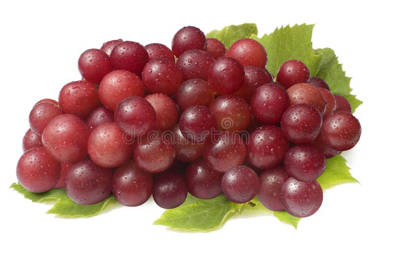 Red Grapes Picture. Image: 8150320